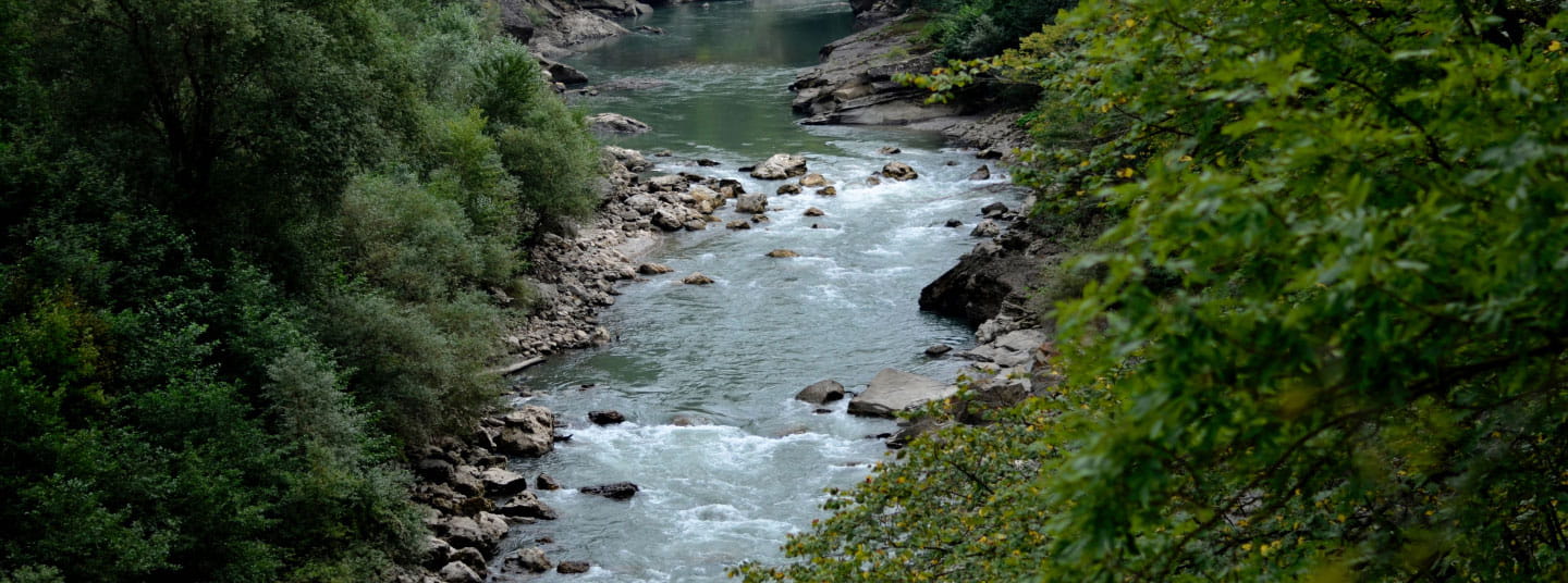 Insights | Legal and Tax News, Updates, Events in Asia – DFDL